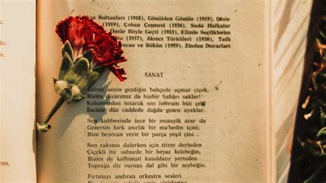 How To Cite Poetry In Mla Poetry Poets