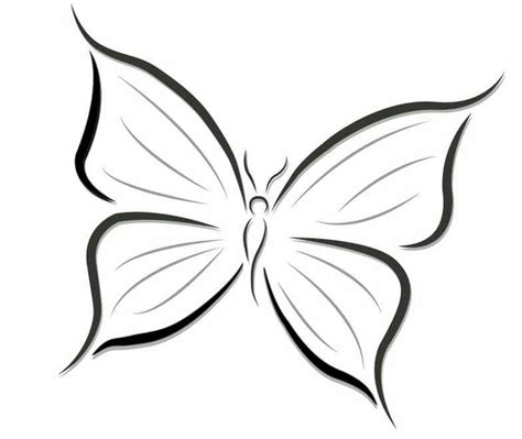 How To Draw A Butterfly Draw Central Butterfly Drawing Easy