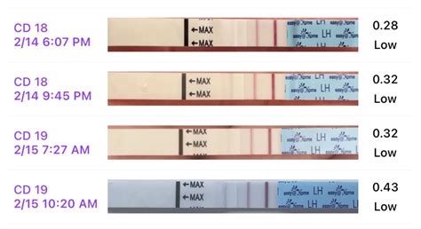 Ovulation And Bbt Chart Help Mumsnet