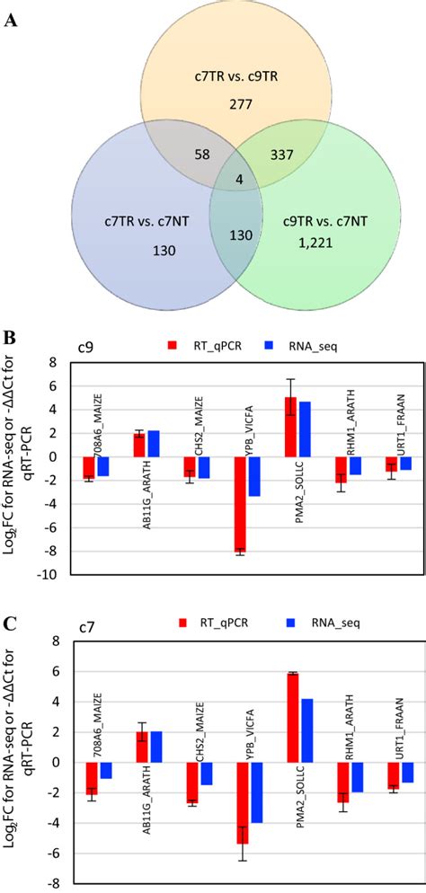 Utilizing Mikc Type Mads Box Protein Soc1 For Yield Potential