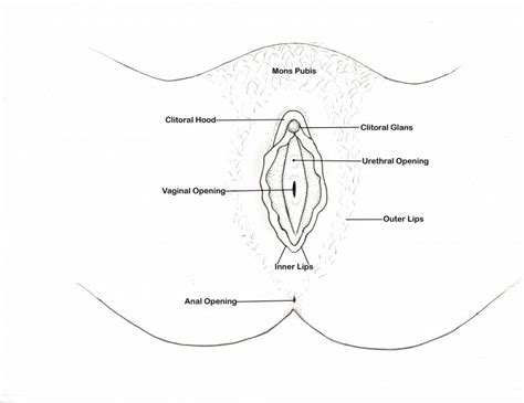 Best Vibrators According To A Sex Therapist