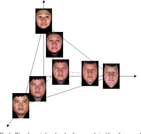 Figure 1 From 3 D Face Recognition Based On Warped Example Faces Semantic Scholar