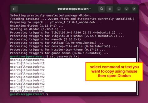 How To Copy And Paste In Linux Terminal 3 Best Methods