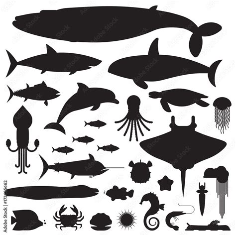 Sea Animals Template