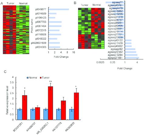 Lncrna And Mrna Microarray Chip Tests In Tumor Tissue And Download