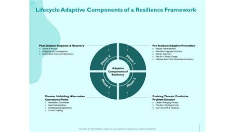 Lifecycle Adaptive Components Of Resilience Framework Powerpoint