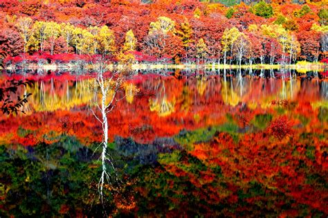 小田代湖 2 by アーバンurban ID1446866 写真共有サイト PHOTOHITO