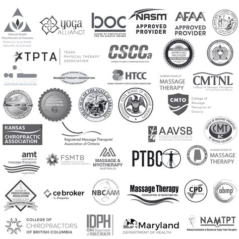 Trigger Points And The Triceps Muscles Triceps Triceps Brachii