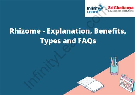 Rhizome Explanation Benefits Types And Faqs Infinity Learn By Sri Chaitanya