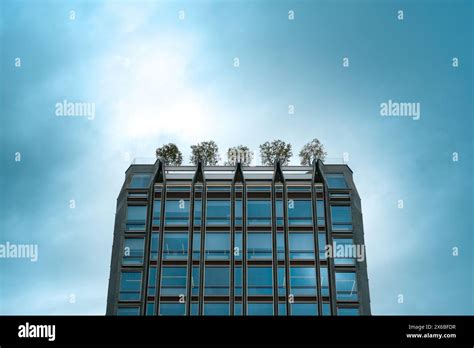 Contemporary Office Building With Trees On Top Stock Photo Alamy