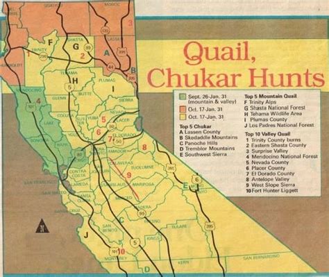 Zone D5 California Deer Hunting Map Best Areas Find Deer How To Hunt D5