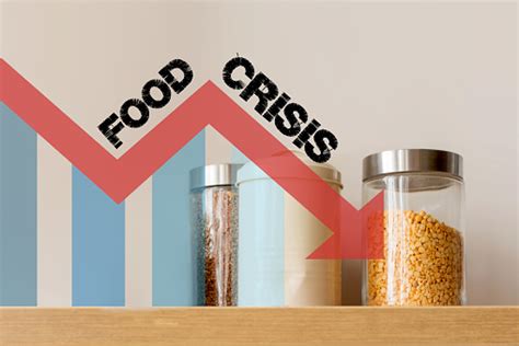 흰색 배경의 선반에있는 작은 시리얼 캔과 빨간색 화살표가 아래로 내려 가서 식량 위기에 처했습니다 식량 위기 개념 0명에 대한 스톡 사진 및 기타 이미지 Istock