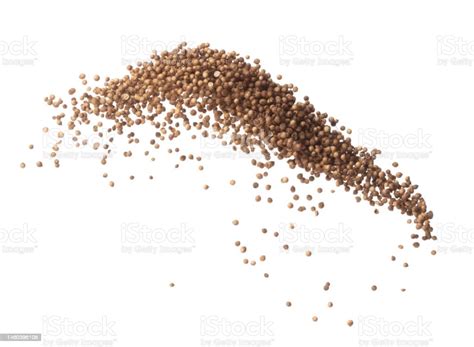 고수풀 씨앗 파리 폭발 갈색 고수풀 씨앗 플로트 폭발 추상 구름 파리 말린 고수풀 씨앗이 공기 중에 튀어 나옵니다 흰색 배경