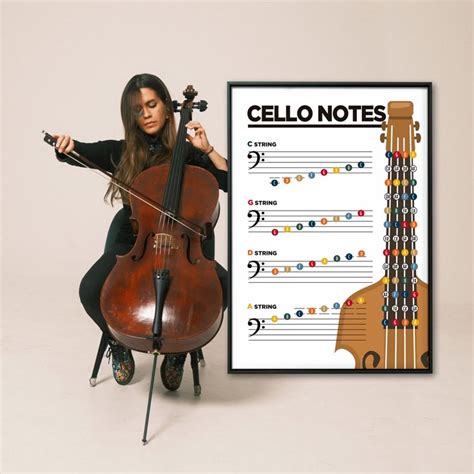 Cello Notes Music Theory Printable Poster Learn Cello Notes Cello