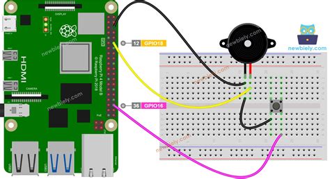 Raspberry Pi Button Piezo Buzzer Raspberry Pi Tutorial