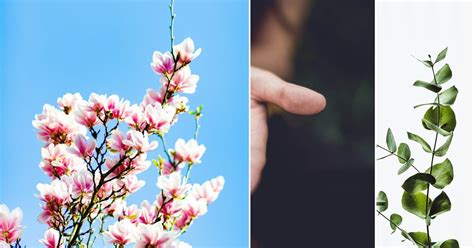 List Data Sctructures And Algorithms Dsa Curated By Sheefa Naaz Medium