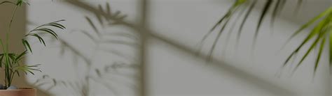 의료진소개 디엠피부과