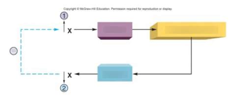 Chapter Diagram Quizlet