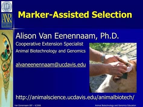 Ppt Marker Assisted Selection Powerpoint Presentation Free Download