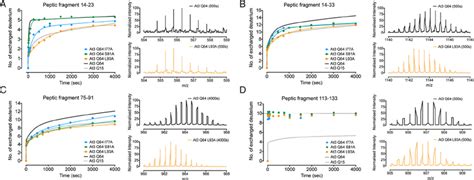 Localized Structural Perturbations Link Polyq Expansion To Aggregation
