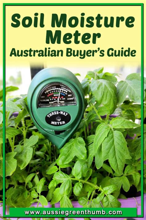 Best Soil Moisture Meters Australian Buyers Guide