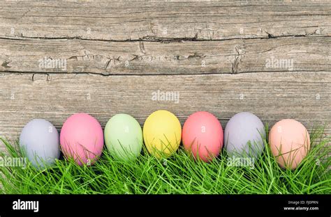 Easter Egg Grass Background