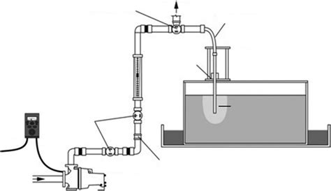 Schematic Representation Of The Experimental Setup Download Scientific Diagram