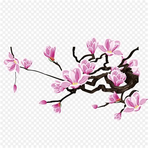 花枝PNG图片素材下载 图片编号9253578 PNG素材网