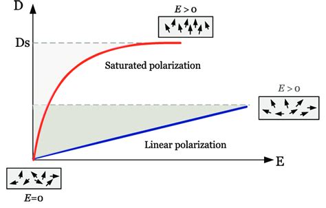 Two Types Of Dielectric Polarization Linear Polarization And