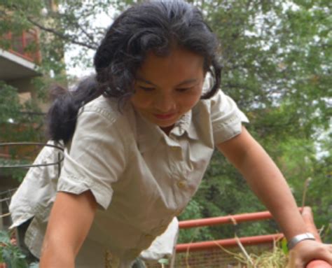 Greening Program Ircom Inc