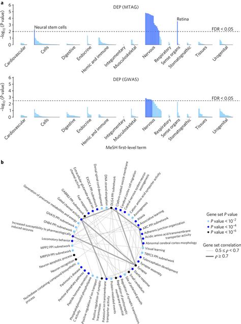 Biological Annotation For Dep Using The Bioinformatics Tool Depict A
