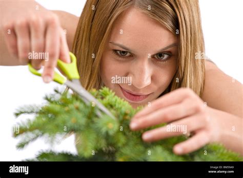 Gardening Woman Trimming Spruce Tree Focus On Scissors And Hand Stock Photo Alamy
