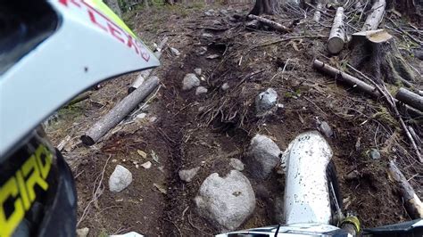 Mcnutt Willies Youtube