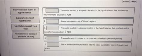 Solved Reset Help Paraventricular Nuclei Of Hypothalamus The