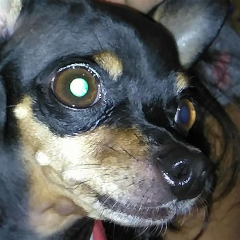 Sofía Ospina Youtube