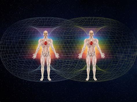 Electric Field Of The Human Body Chinese Academy Of Sciences