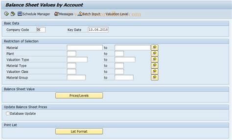 MRN9 OLD SAP Tcode Balance Sheet Values By Account