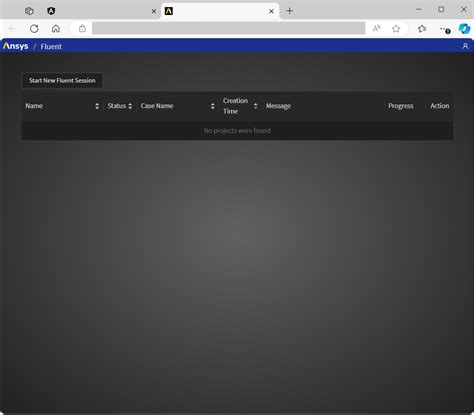 393 Accessing The Fluent Web Interface Through The Ansys App Portal