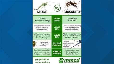 Midges Being Mistaken For Idaho Mosquitoes