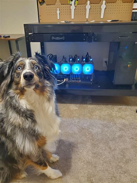 Best R Gpumining Images On Pholder Throwback To When This Made Real Money