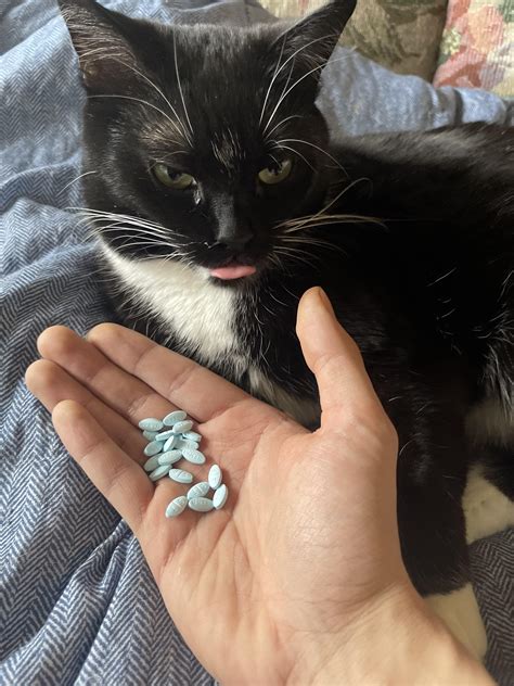 5 Best R Doxylamine Images On Pholder No Way