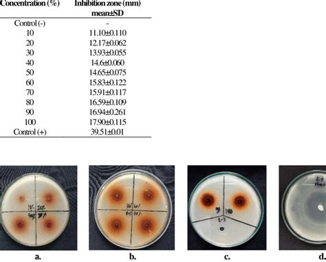 Antibacterial Activity Test Of Honje Laka Flower Ethanol Extract