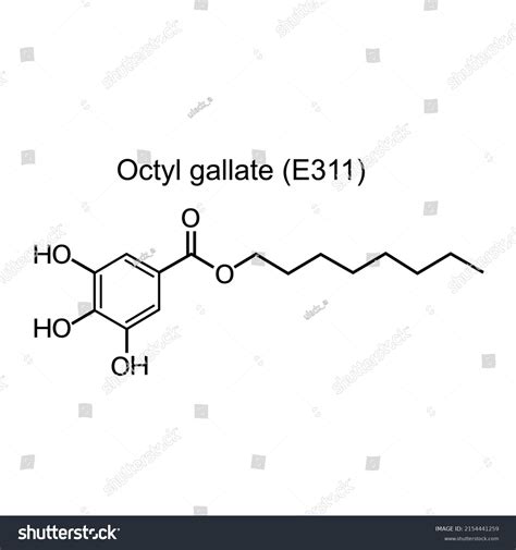 Structural Chemical Formula Octyl Gallate Stock Vector Royalty Free 2154441259 Shutterstock