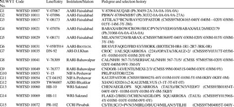Details Of The Bread Wheat Advanced Lines From Wheat Breeding Programs