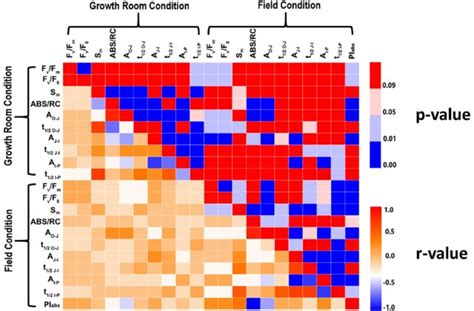 Data Visualization Showing A Correlation And Its P Value As A Color Cross Validated