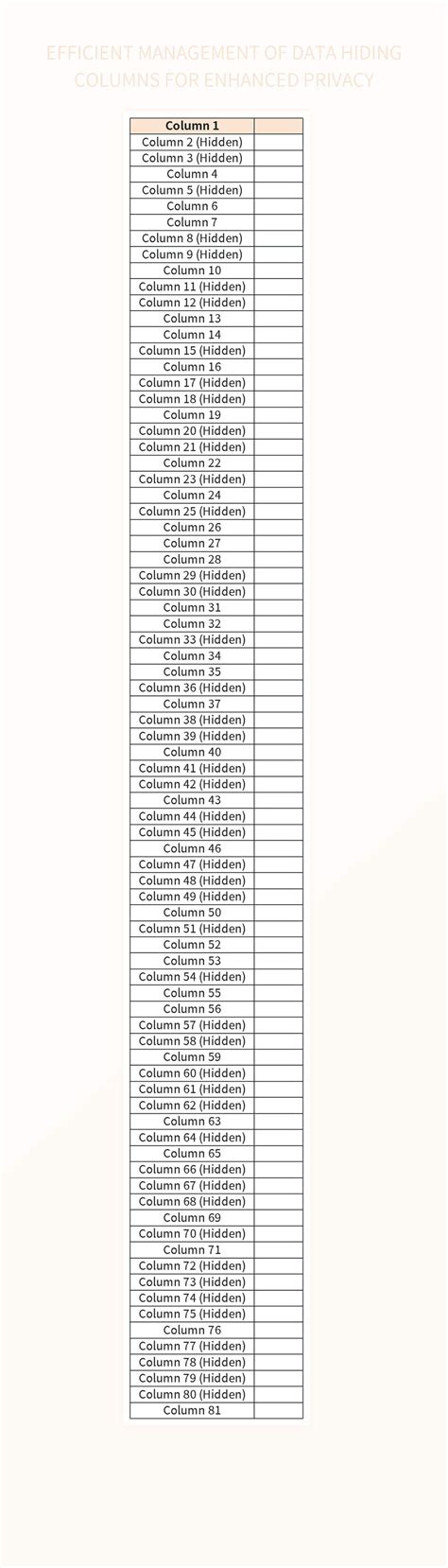 Efficient Management Of Data Hiding Columns For Enhanced Privacy Excel