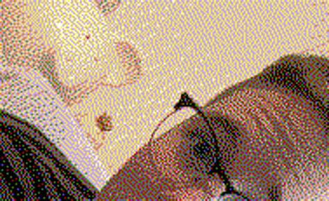 How To Implement The Floyd Steinberg Algorithm From Gimp In Your Code Applications Gnome