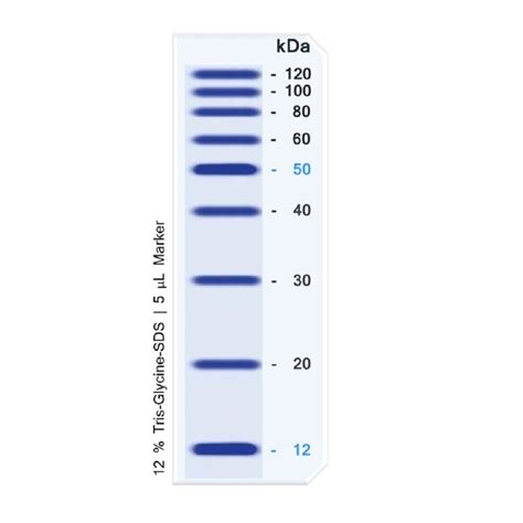 Tiaris™ Unstained Protein Marker Tiaris Biosciences Sl