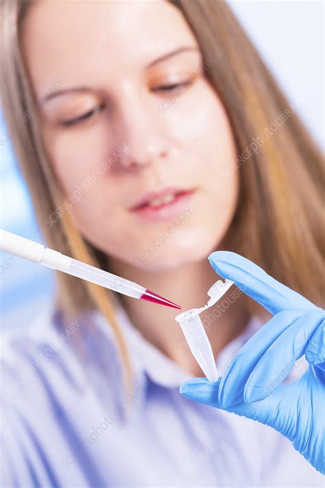 Lab Technician Using Pipette Stock Image F013 2359 Science Photo Library