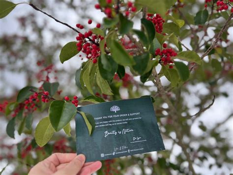 Our Shop Nace Beauty